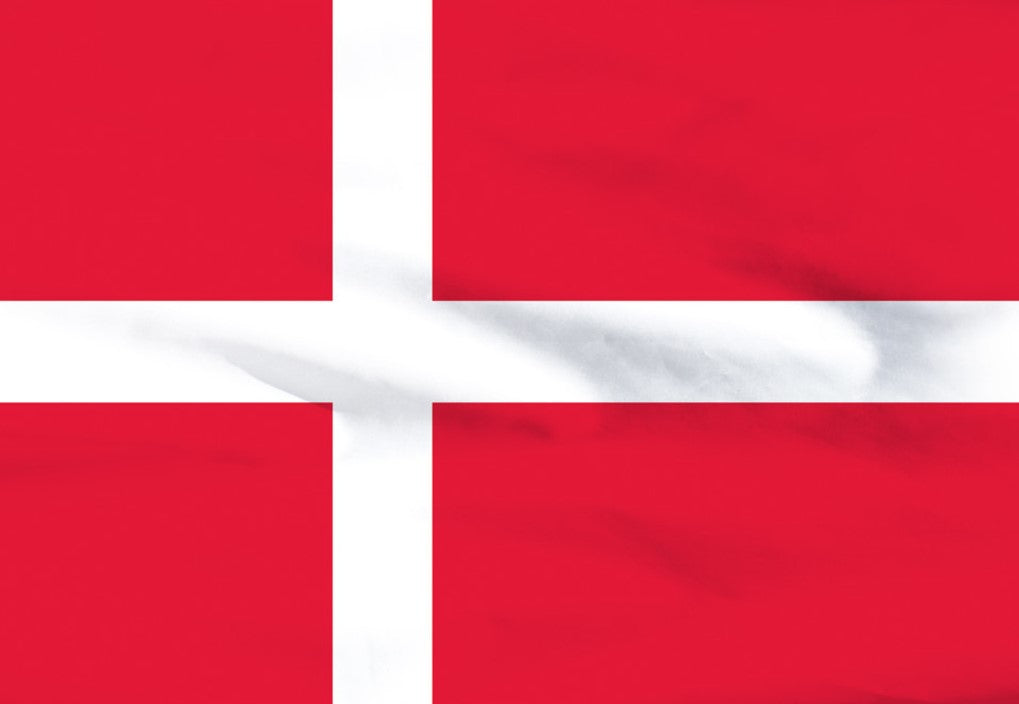 DEBT COLLECTION IN DENMARK – FUUZER